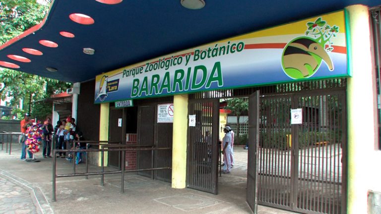 Autoridades del Parque Zoológico y Botánico Bararida informaron ...