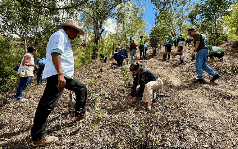 Venezuela avanza en la restauración ecológica a través del Plan ...